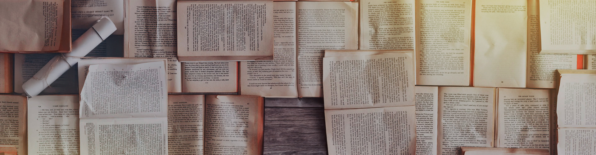 Blog – Quiroga Law Office, PLLC